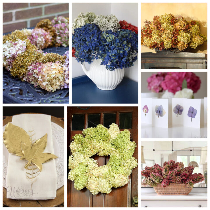 Hydrangea Decorating Ideas - DIY Home Decor from the Garden