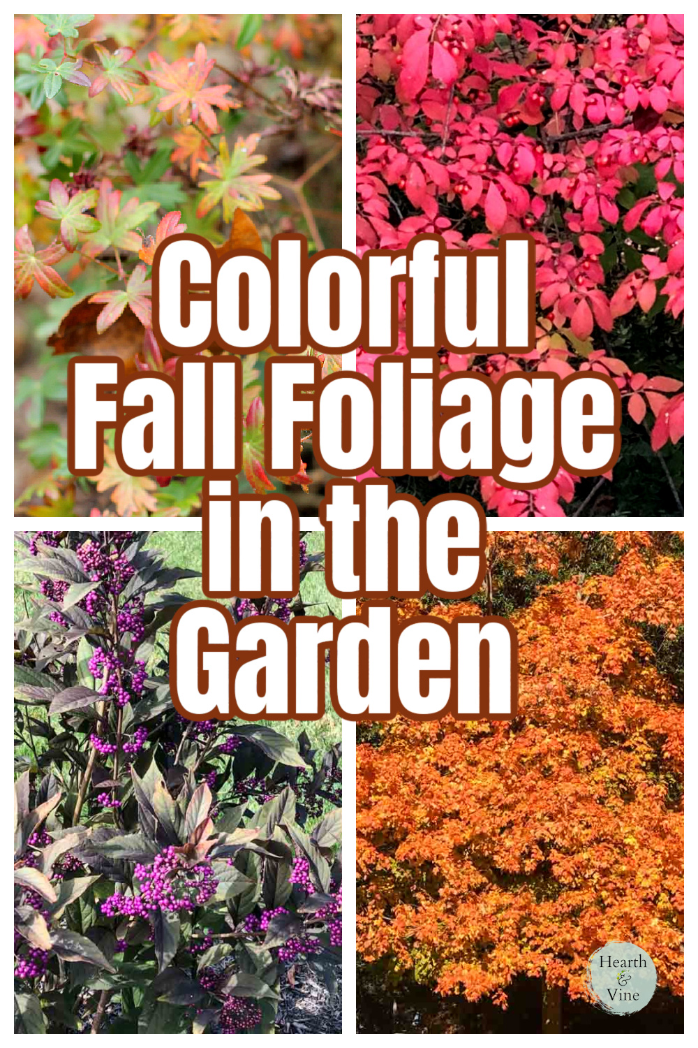 Fall Foliage Plants For Every Garden