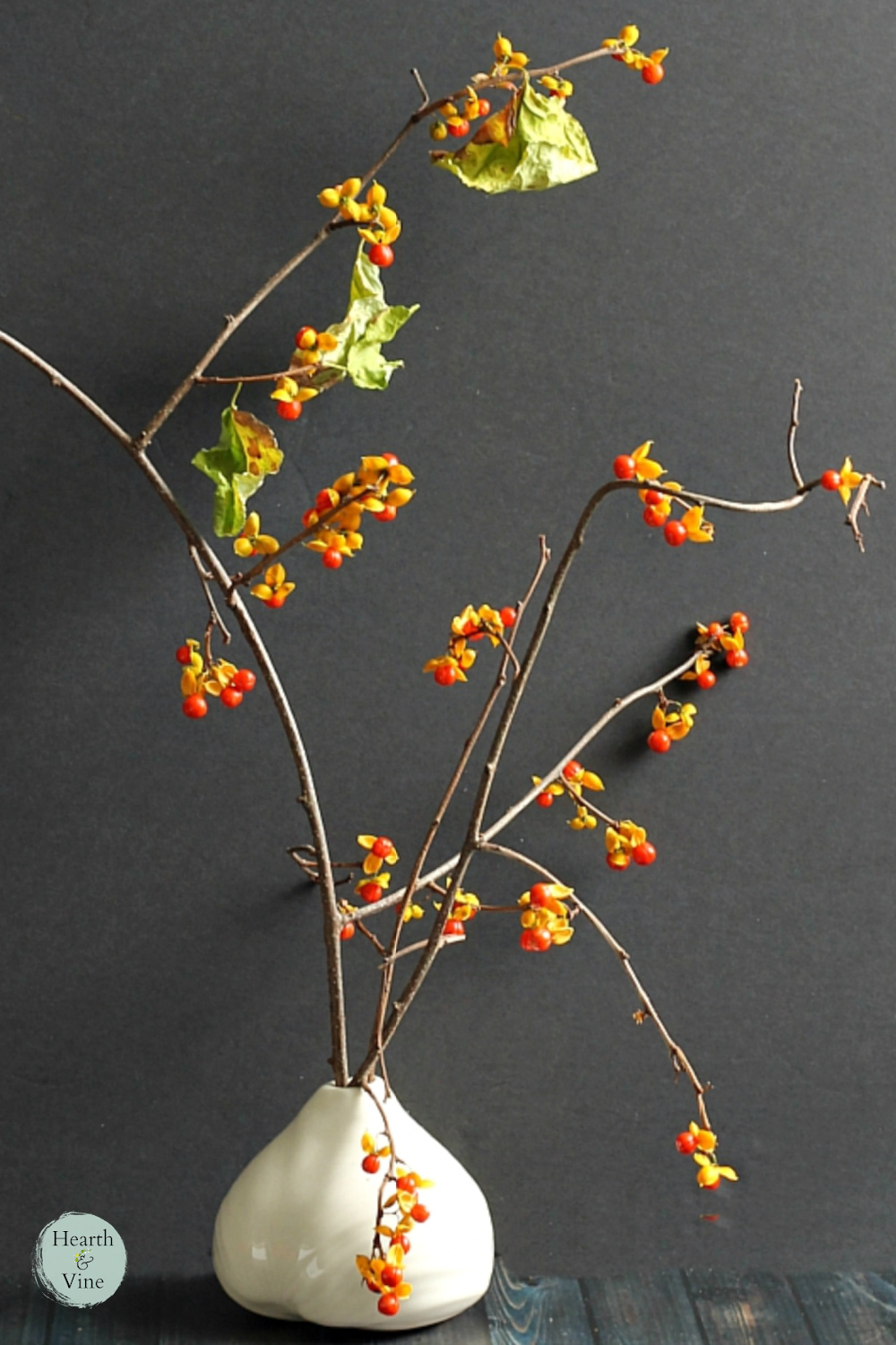 Bittersweet Vine for Your Fall Decor