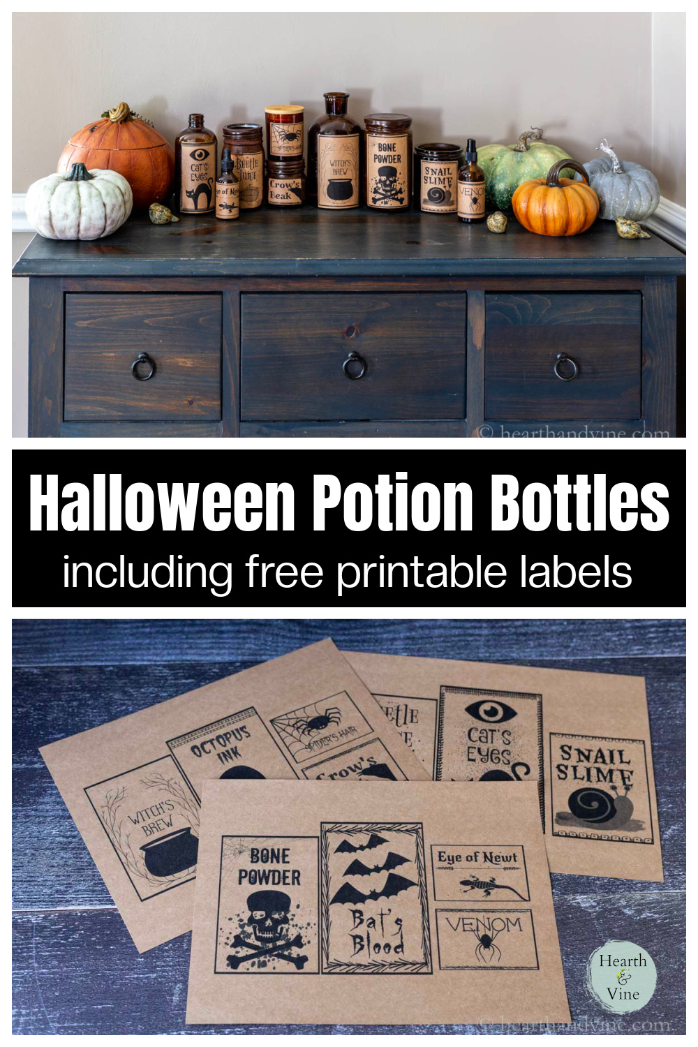 Halloween Potion Bottles DIY