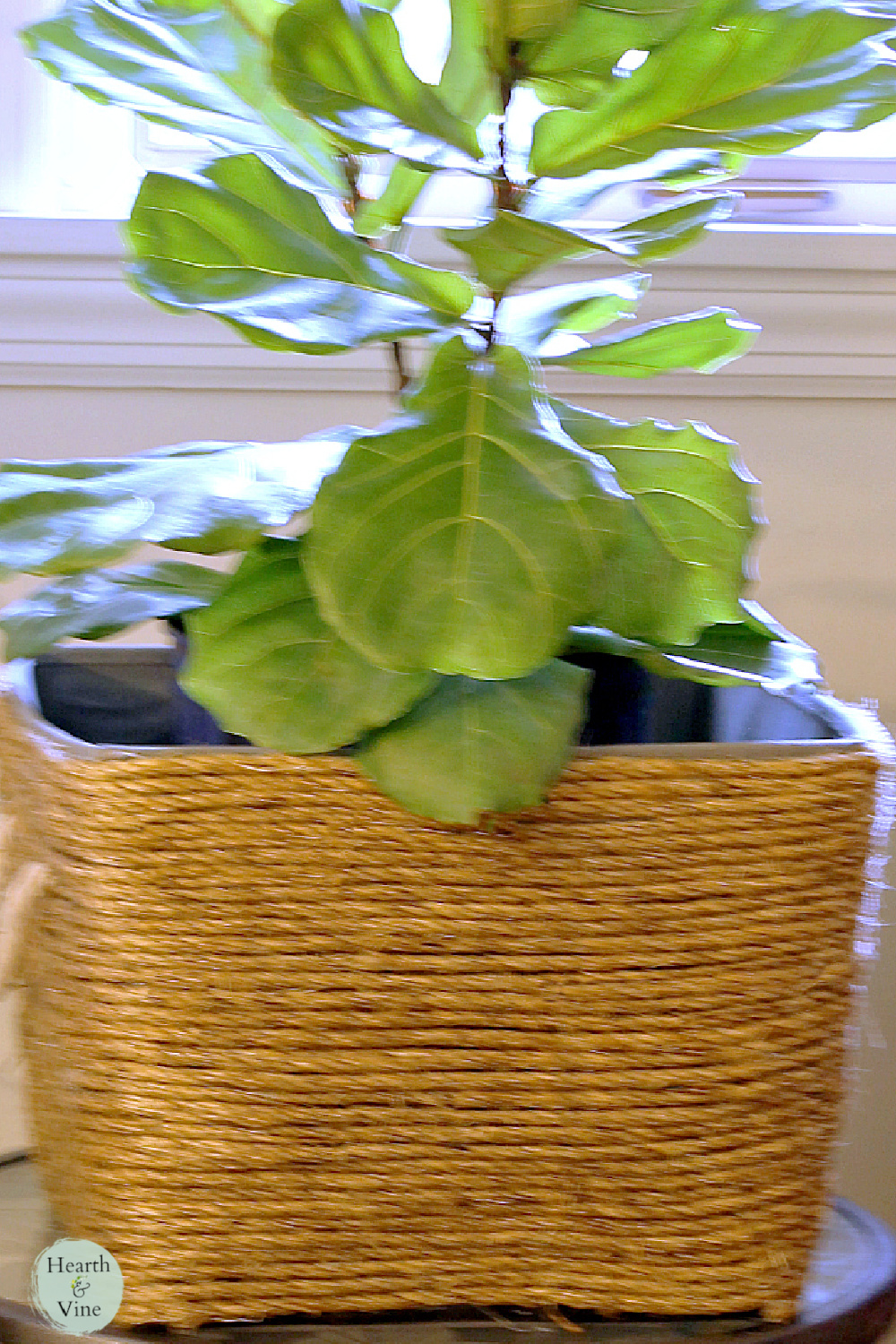 DIY Rope Planter - Easy Way to Disguise Ugly Nursery Pots