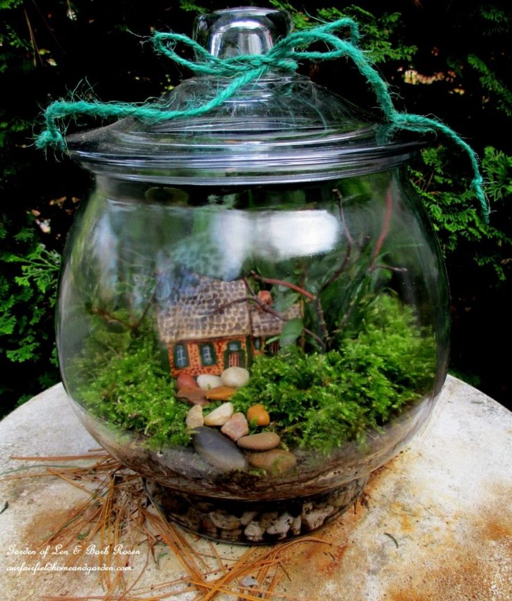 DIY Terrariums - Indoor Garden Beauties
