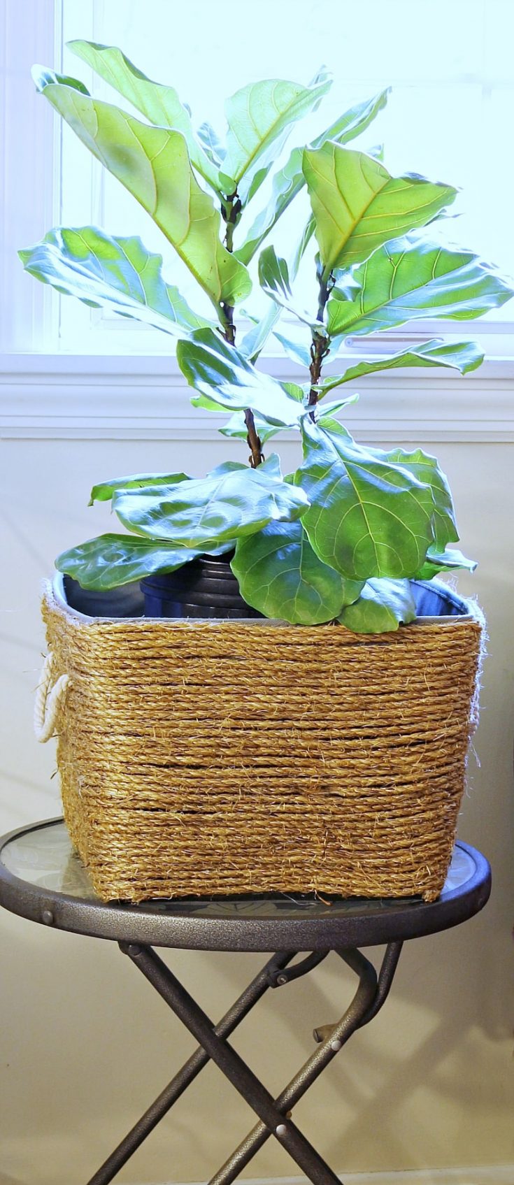 How to Make a Rope Basket Planter with Natural Sisal Rope
