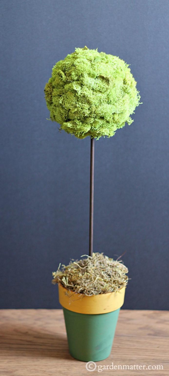 Spring Topiaries - Bring Some Brightness To Your Home