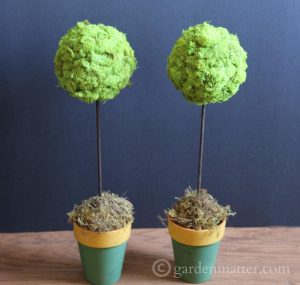 Spring Topiaries - Bring Some Brightness To Your Home